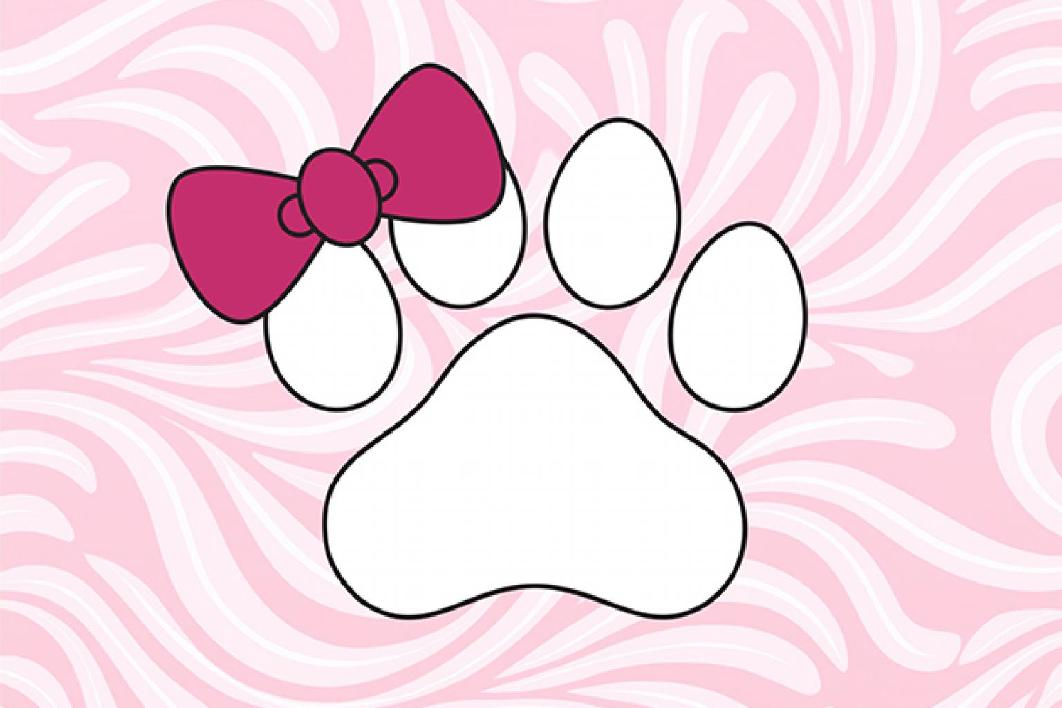 KMO - Nyári tábor :: KITTI és BARÁTAI 2025